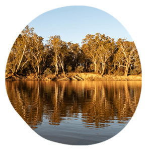 Wamba Wemba Aboriginal Corporation