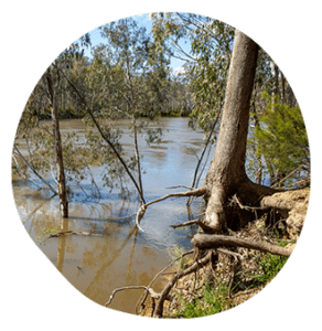 Wamba Wemba Aboriginal Corporation