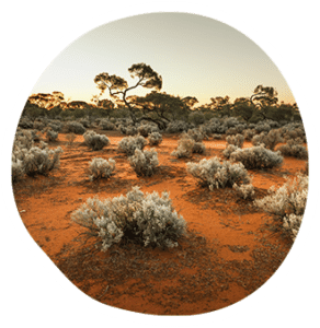 Wamba Wemba Aboriginal Corporation